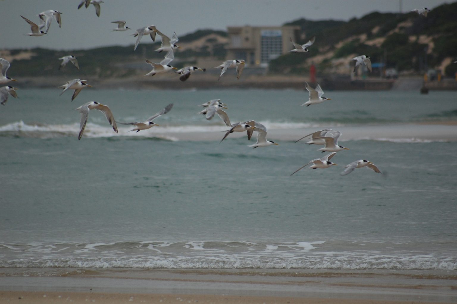 Official Stilbaai Duine HOA site