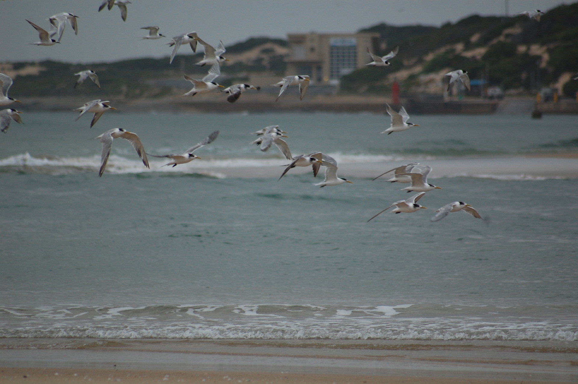 Official Stilbaai Duine HOA site